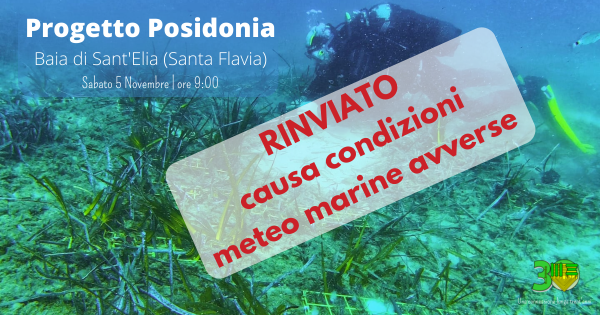 Invito Progetto Posidonia: riforestazione Baia di Sant'Elia - Sabato 5 ... Invito Progetto Posidonia: riforestazione Baia di Sant'Elia - Sabato 5 ...